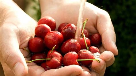 How To Grow Cherries