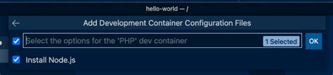 setting up a vs code dev container 2022