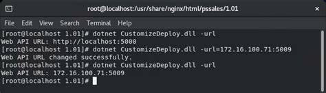 customize the deployed app using commands powerserver 2021 help