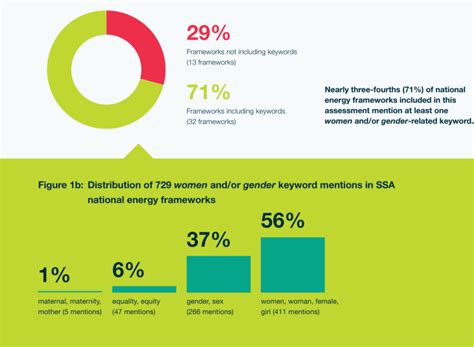 Energizing Equality Sub Saharan Africas Integration Of Gender