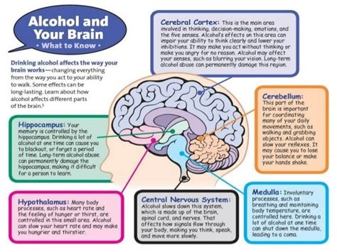 Alcoholic Brain