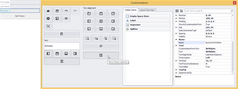 quick runtime customization winforms controls