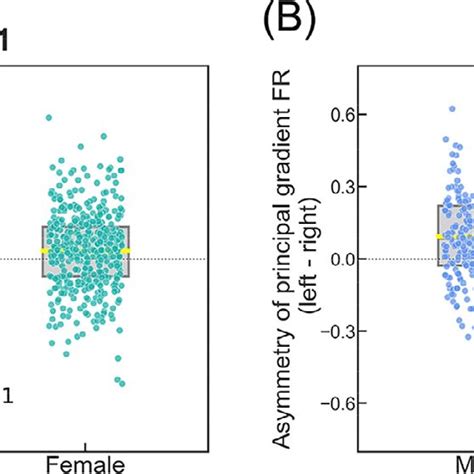 Hemisphere And Sex Effects On Regional Principal Gradient Component