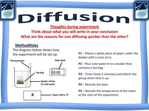Diffusion Lesson