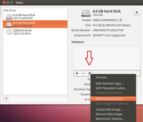 ubuntu mount nvme disk richositamani
