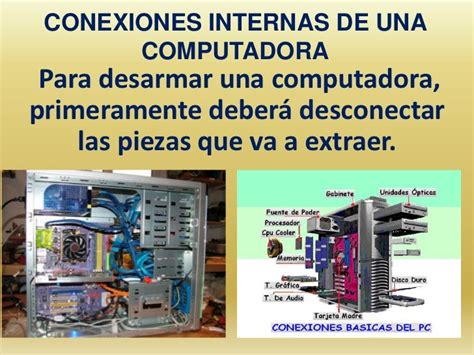 Conexiones Internas De Un Cpu Ajore