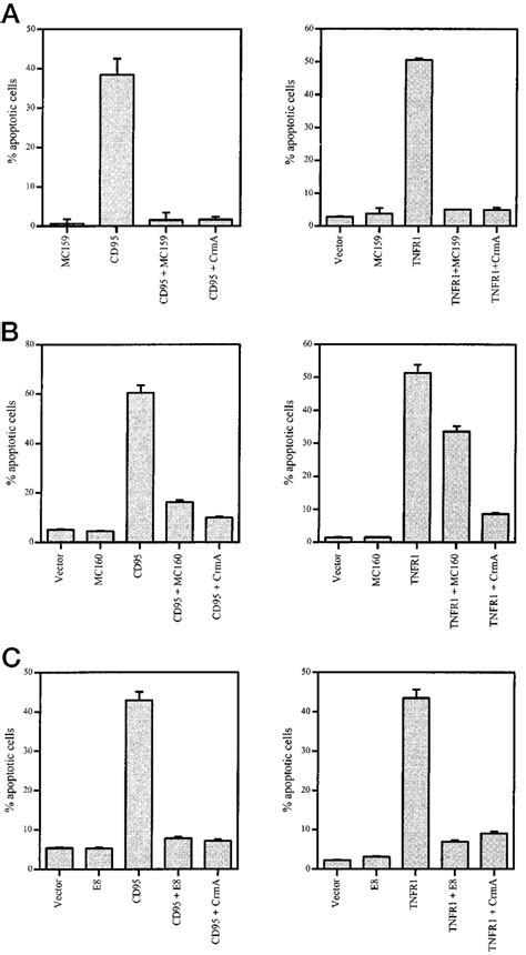Mc159 Mc160 And E8 Inhibit Tnfr 1 And Cd 95 Induced Apoptosis