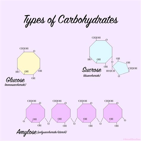 Carbohydrates Definition Structure Types Examples