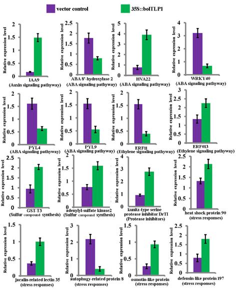 Identification Of The Relative Expression Levels Of The Representative