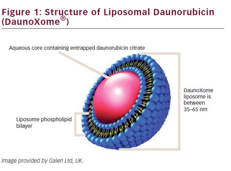 Optimizing Outcomes Of Jak Inhibition In Myelofibrosis Practical