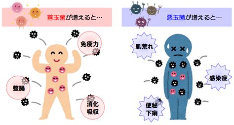 腸内環境を整えて免疫力を高めよう！ 有限会社ハートフルケア