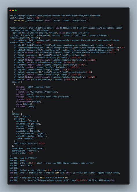 javascript validationerror invalid options object dev middleware