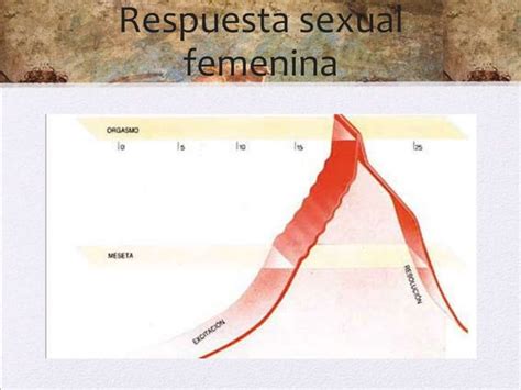 Respuesta Sexual Humana Y Sus Fases Ppt