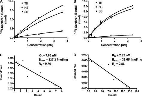 Representative Saturation Binding For Ang Ii Receptors In Nuclear A