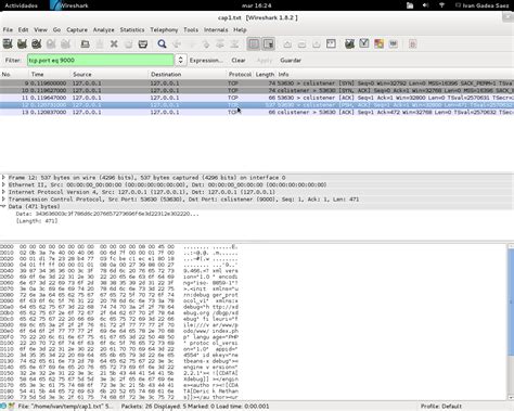 linux why netbeans is trying to connect to a debug proxy