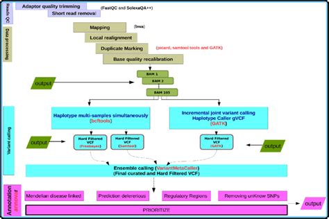 workflow of the data analysis describes the bioinformatics pipelines