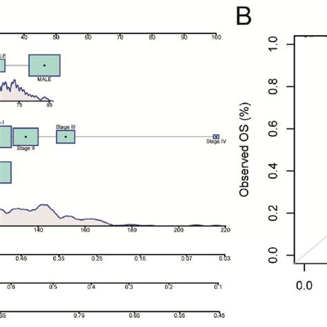 Construction And Validation Of A Nomogram A A Nomogram For Lusc
