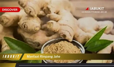 Ketahui 7 Manfaat Rimpang Jahe Yang Wajib Kamu Intip Discover