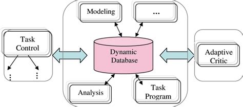 functional structure of dynamic database download scientific diagram
