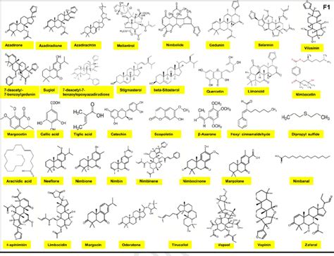 Structure Of Different Phytochemicals Present In Neem Tree Download