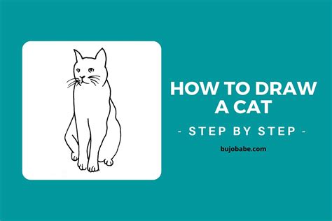 How To Draw A Cat Easy Steps