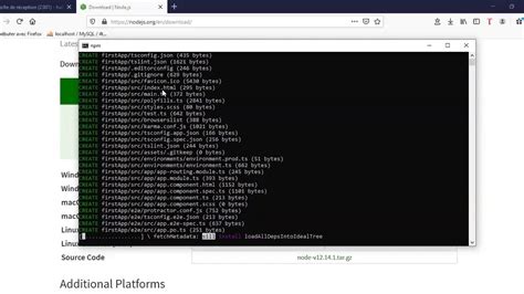 angular tutorial 1 installation node js angular youtube