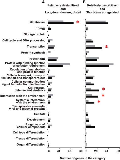 Functional Classification Of Long Term Down Regulated Transcripts And