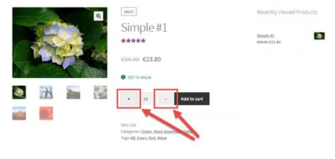 woocommerce add plus and minus buttons to add to cart