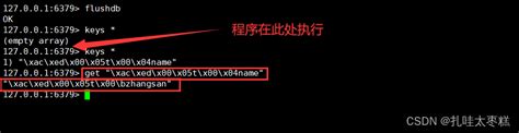 使用java操作redis的两种方式jedis、redistemplate 云社区 华为云