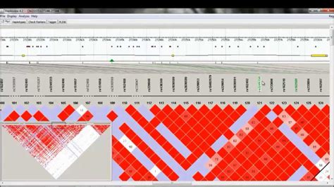 Association Mapping Using Plink Software Youtube