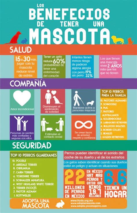 Los Beneficios De Tener Una Mascota Infografía On Behance Spanish