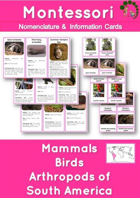 Themed Pack Montessori Nature Printables Artofit