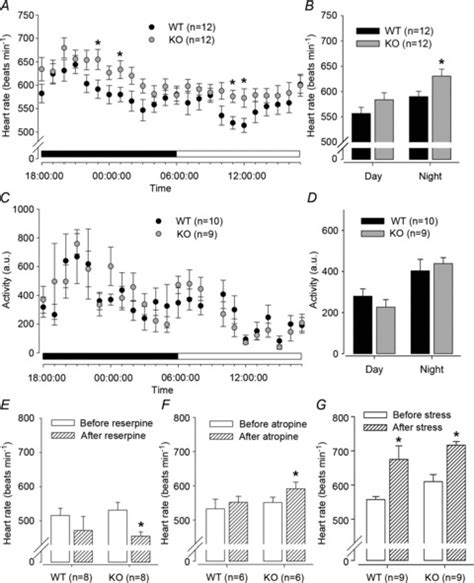 Circadian Heart Rate Hr Activity And Hr Responses In Conscious