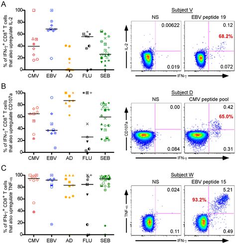 Individual Cd8 T Cell Functions Do Not Predict Universal Viral