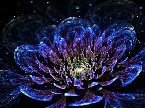 Fractal Flower Wallpapers Top Free Fractal Flower Backgrounds