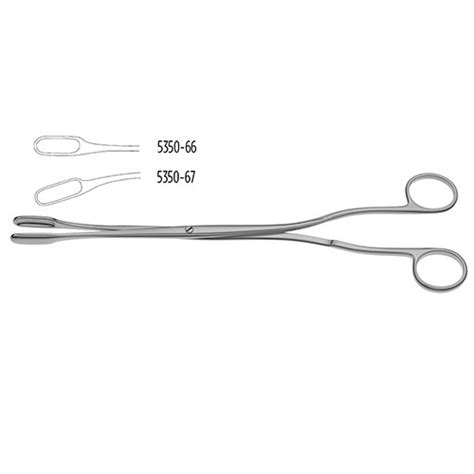 Winter Placenta Forceps Obs And Gyn Tool Surgi Right