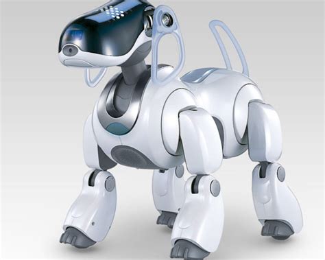 Les Différents Types De Robots