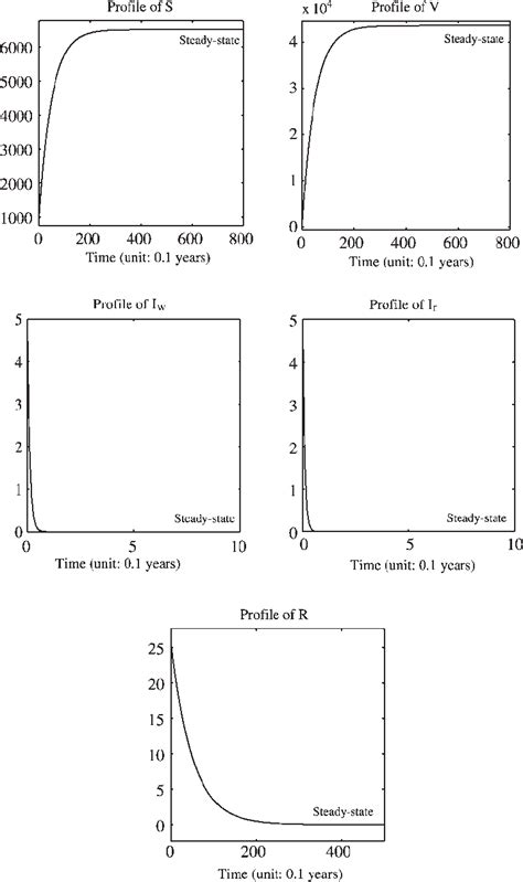 Profiles Of The Model Variables Generated Using Nsfd With L ¼ 0 1 P ¼