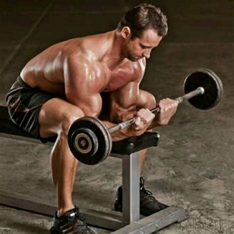 Seated Palm Up Barbell Wrist Curl By Jacco Obermeier Exercise How To