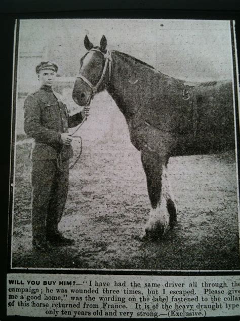 wallace on war wwi images in the roslin glass slides collection