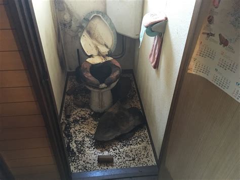 トイレの孤独死特殊清掃の事例 特殊清掃・家財整理専門会社 エバーグリーン