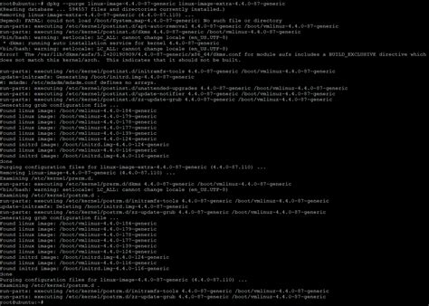 safely remove old kernels form debian distributions