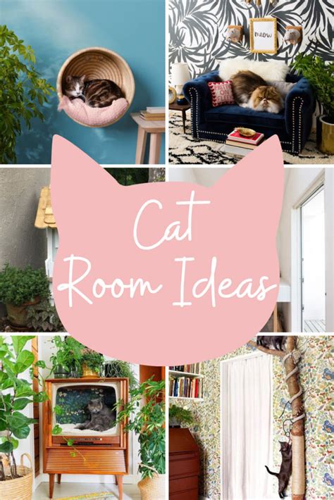 47 Purrr Fect Cat Room Ideas To Diy Or Buy Pink Pop Design
