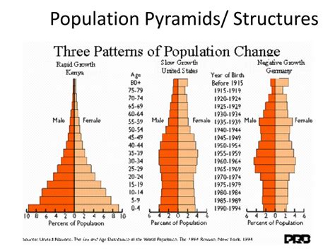 Population Composition Ppt – Wkcn