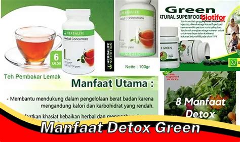Temukan 4 Manfaat Detox Green Yang Jarang Diketahui Biotifor