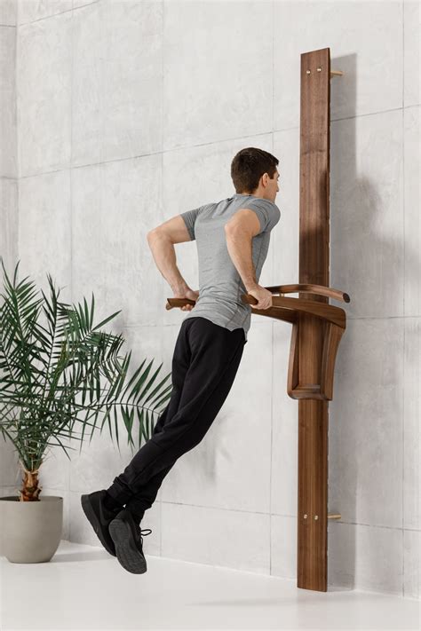 Pull Up Dip Machine