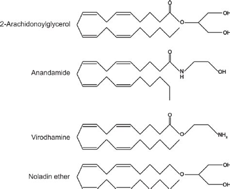Chemical Structures Of Four Common Endocannabinoids Download