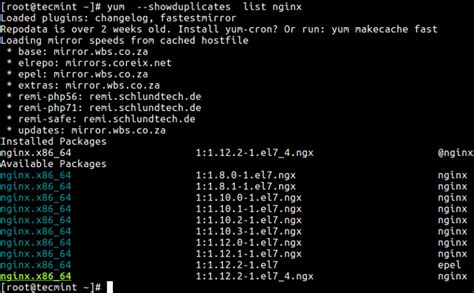 how to install particular package version in centos and