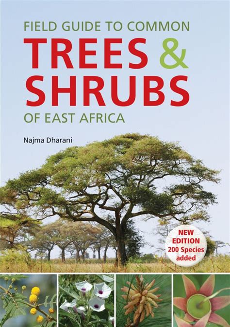 field guide to common trees shrubs of east africa 2 africa travel centre