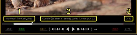 cinematic viewport controls in unreal engine unreal engine 5 0